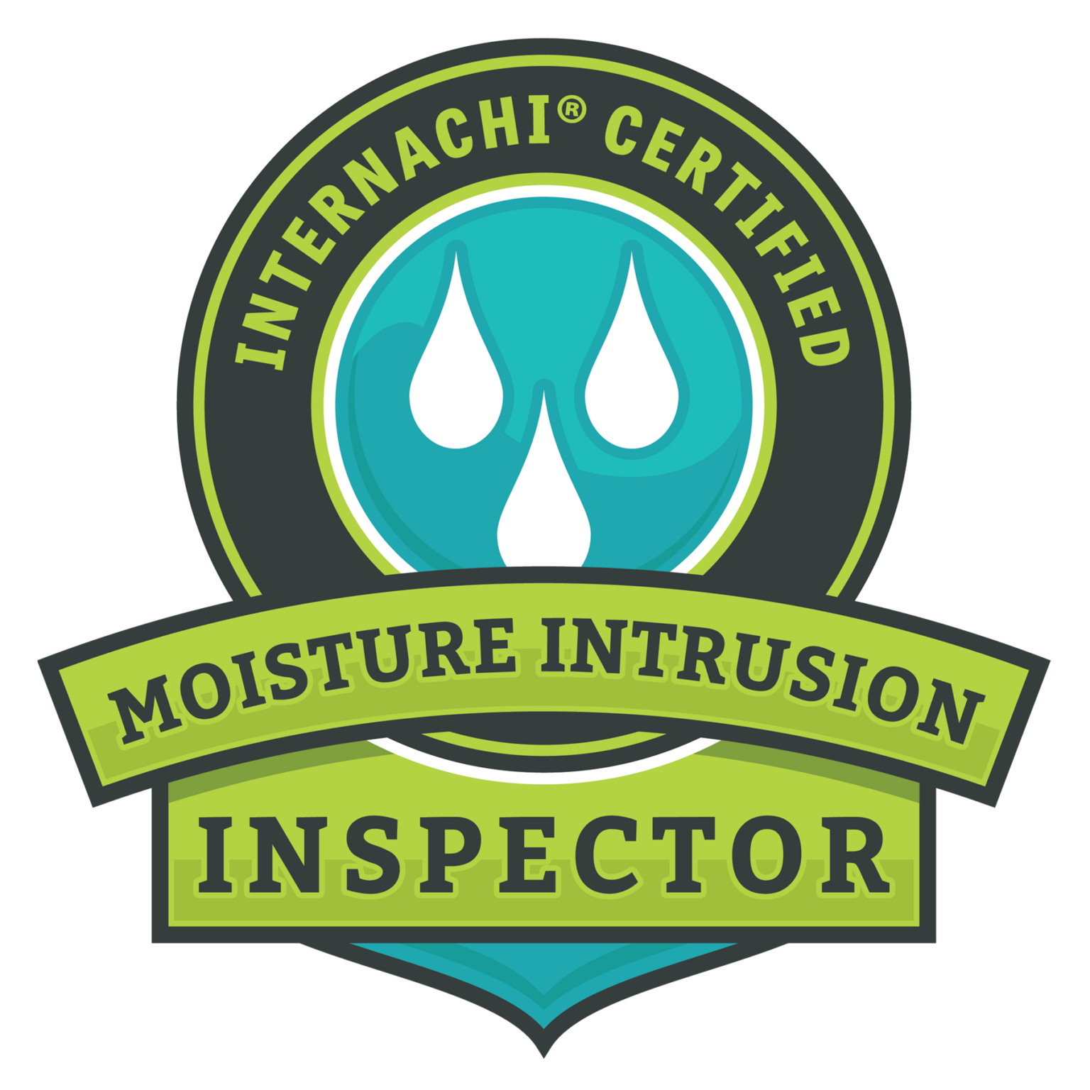 Four Point Inspection As Low As $99 • Same-Day Report